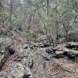 Mount Coot-tha Summit Trail, Queensland, Australia - 750 Reviews, Map ...