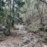 Mount Coot-tha Summit Trail, Queensland, Australia - 750 Reviews, Map ...