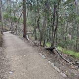 Mount Coot-tha Summit Trail, Queensland, Australia - 750 Reviews, Map ...