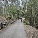 Mount Coot-tha Summit Trail, Queensland, Australia - 750 Reviews, Map ...