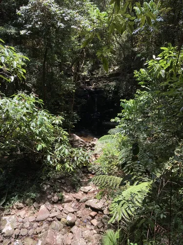 Best Camping Trails in Paluma | AllTrails