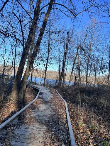 Best Hikes and Trails in Olin Lake Nature Preserve | AllTrails