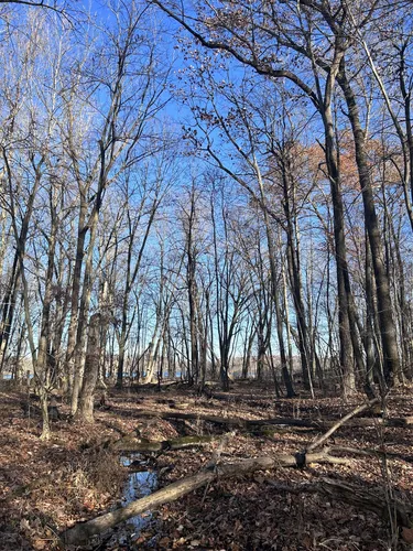 Best Hikes and Trails in Olin Lake Nature Preserve | AllTrails