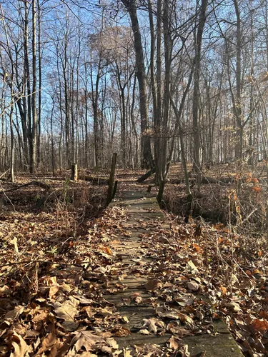 Best Hikes and Trails in Olin Lake Nature Preserve | AllTrails