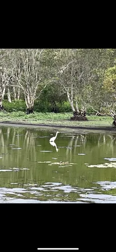 Best Hikes and Trails in Sandy Camp Road Wetlands Reserve | AllTrails