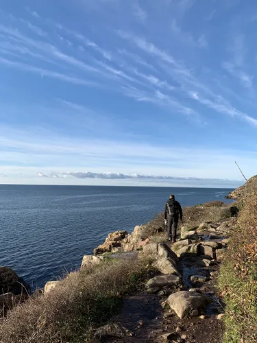 Best Beach Trails in Kullaberg Nature Reserve | AllTrails