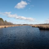 Mer Bleue Bog Trail, Ontario, Canada - 486 Reviews, Map | AllTrails
