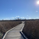 Mer Bleue Bog Trail, Ontario, Canada - 486 Reviews, Map | AllTrails