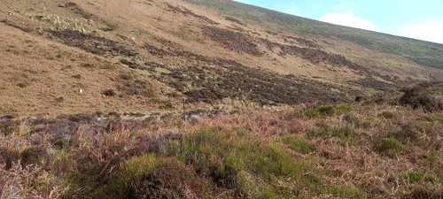 2023 Best Walking Trails in Slieve Bloom Mountains Nature Reserve ...