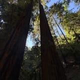 Cinderella, Sunset, Sequoia Bayview Loop Trail, California - 262 ...