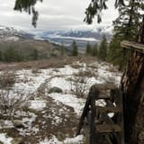 Patterson Mountain Trail, Washington - 436 Reviews, Map | AllTrails