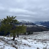 Patterson Mountain Trail, Washington - 436 Reviews, Map | AllTrails