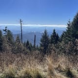 Mount Buckley via Clingmans Dome Bypass Trail, North Carolina - 886 ...