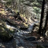 Mount Buckley via Clingmans Dome Bypass Trail, North Carolina - 886 ...