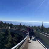 Mount Buckley via Clingmans Dome Bypass Trail, North Carolina - 886 ...