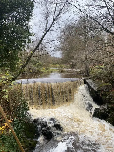 2023 Best Walking Trails in Slieve Bloom Mountains Nature Reserve ...
