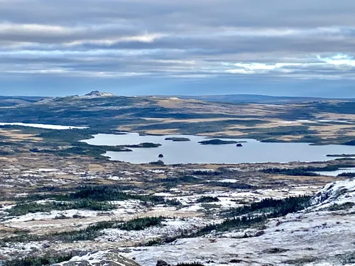 Best Hikes and Trails in Hawk Hill Ecological Reserve | AllTrails