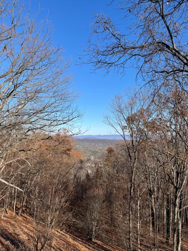 Best Hikes and Trails in Shrine Mont | AllTrails