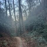 Kitsuma Peak Trail (Long Route), North Carolina - 99 Reviews, Map ...