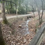 Kitsuma Peak Trail (Long Route), North Carolina - 99 Reviews, Map ...