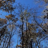 Bridge Loop Trail and Lake Loop Trail, Georgia - 840 Reviews, Map ...