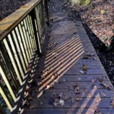 Bridge Loop Trail and Lake Loop Trail, Georgia - 840 Reviews, Map ...