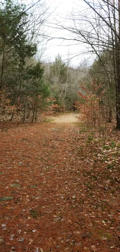 Best Hikes and Trails in Monticello | AllTrails