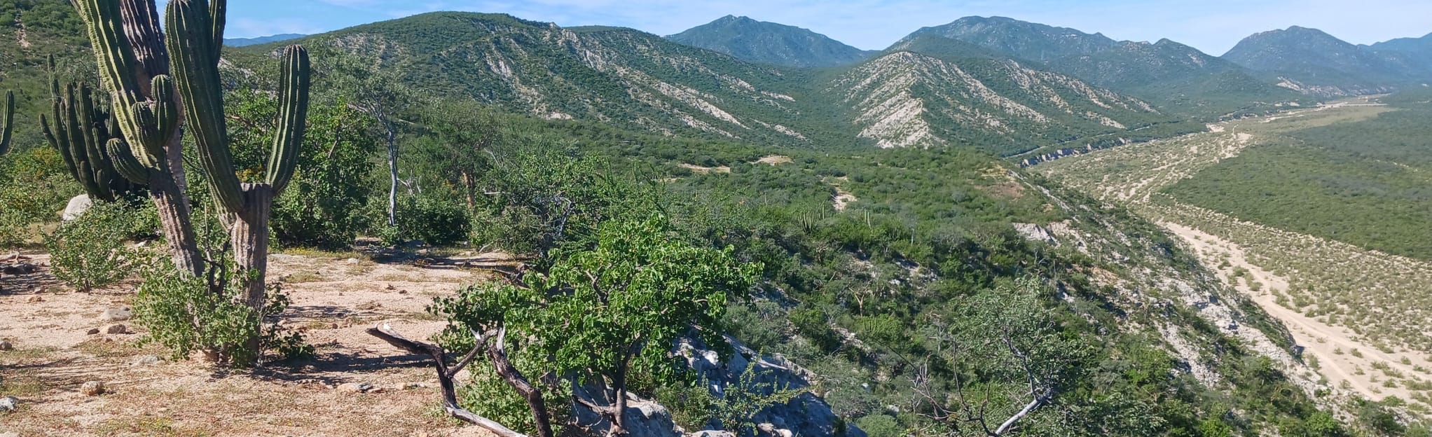 Cerros Buenos Aires BCS, Baja California Sur, Mexico - Map, Guide ...