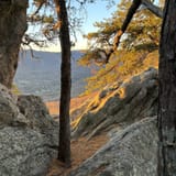 Sawtooth Ridge via Appalachian Trail, Virginia - 726 Reviews, Map ...