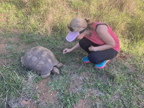 Best Hikes and Trails in Moreleta Kloof Nature Reserve | AllTrails