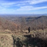 Black Ridge Trail, Virginia - 614 Reviews, Map | AllTrails
