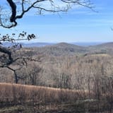 Black Ridge Trail, Virginia - 614 Reviews, Map | AllTrails
