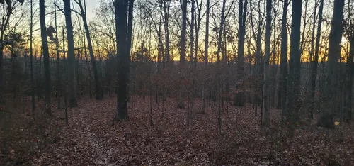 Best Hikes and Trails in Paynetown State Recreation Area | AllTrails