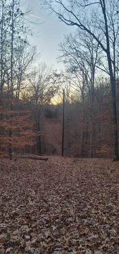 Best Hikes and Trails in Paynetown State Recreation Area | AllTrails