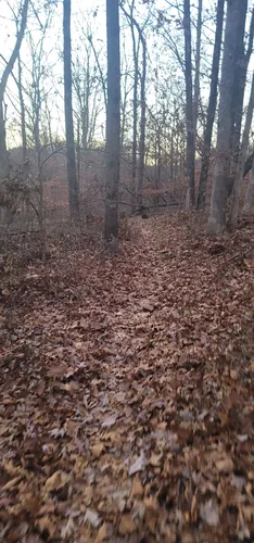 Best Hikes and Trails in Paynetown State Recreation Area | AllTrails