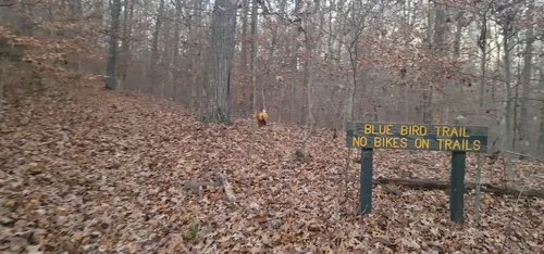 Best Hikes and Trails in Paynetown State Recreation Area | AllTrails