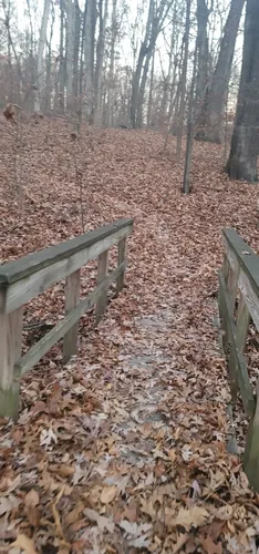 Best Hikes and Trails in Paynetown State Recreation Area | AllTrails