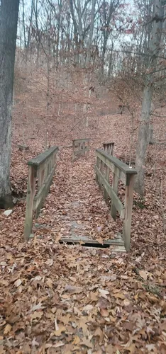 Best Hikes and Trails in Paynetown State Recreation Area | AllTrails