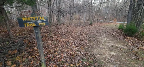 Best Hikes and Trails in Paynetown State Recreation Area | AllTrails
