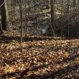 Paul Ruster Trail, Indiana - 235 Reviews, Map | AllTrails