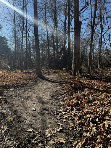 Best Hikes and Trails in Paul Ruster Park | AllTrails