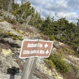 Little Jackson Mountain Trail, Maine - 296 Reviews, Map | AllTrails
