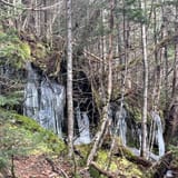 Little Jackson Mountain Trail, Maine - 296 Reviews, Map | AllTrails