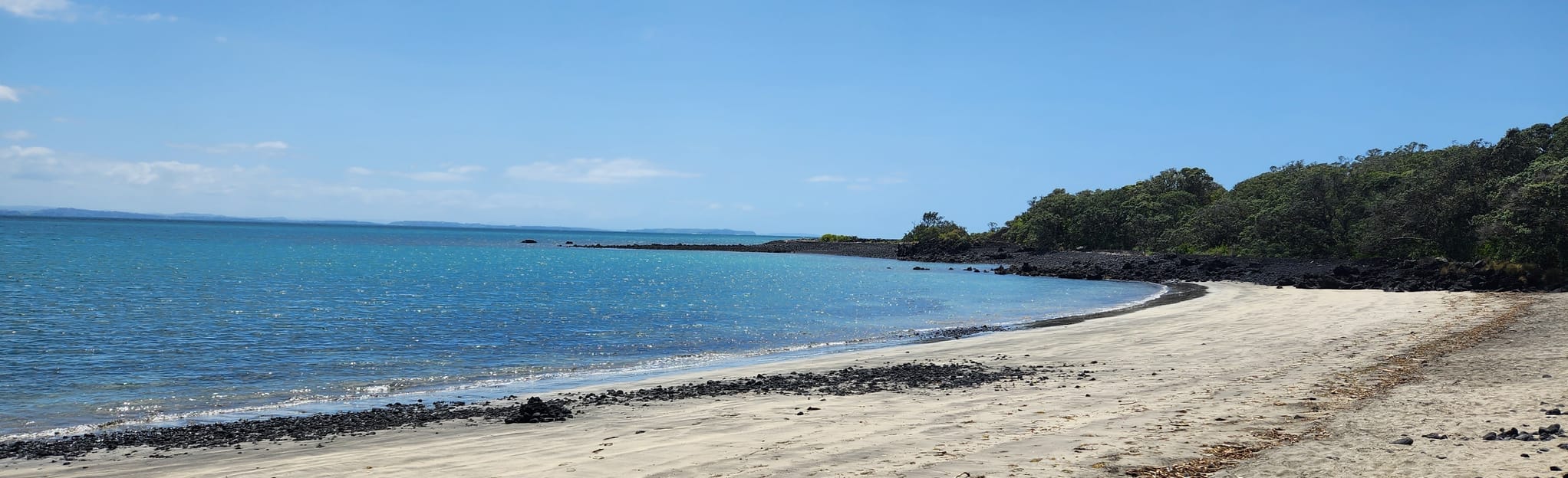 Rangitoto Island Coastal Track and Mackenzie Bay Loop: 516 foto's ...