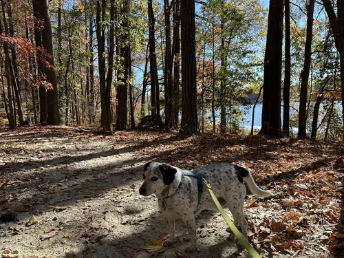 Best Hikes and Trails in Lake Benson Park | AllTrails