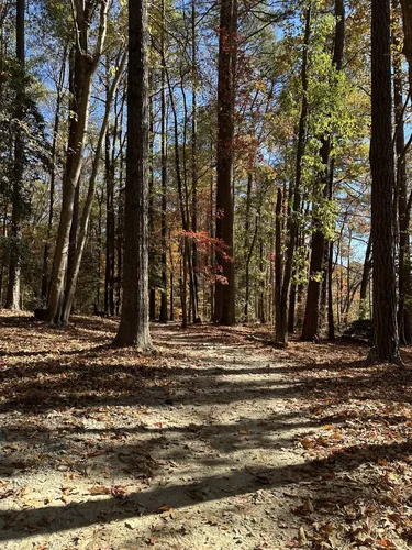 Best Hikes and Trails in Lake Benson Park | AllTrails