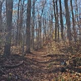 Monocacy Hill Trail, Pennsylvania - 1,794 Reviews, Map | AllTrails