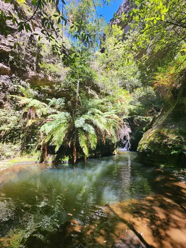 Best Hikes and Trails in Newnes State Forest | AllTrails