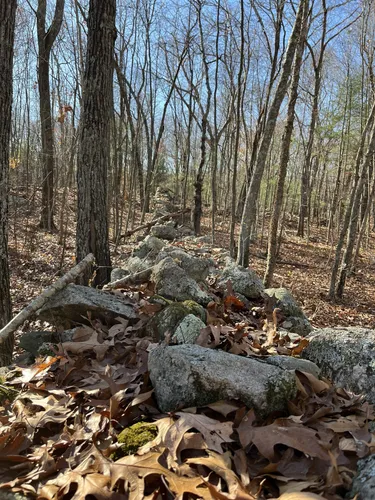 Best Hikes and Trails in Snake Den State Park | AllTrails