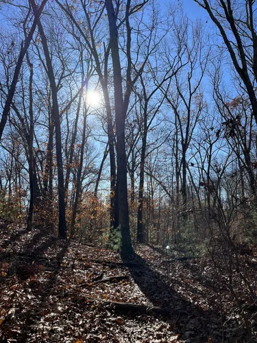 Best Hikes and Trails in Snake Den State Park | AllTrails